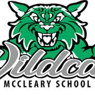 McCleary-Custodian Substitute - 2024-25 - McCleary School District